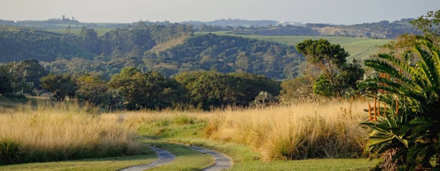 River Valley Nature Reserve Margate - KZN Business Services & Shopping ...