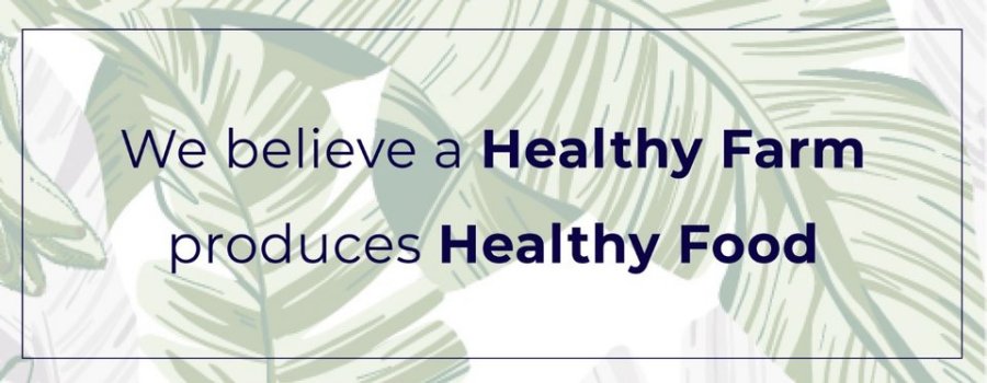 Adore Nature International Port Edward - KZN Business Services ...