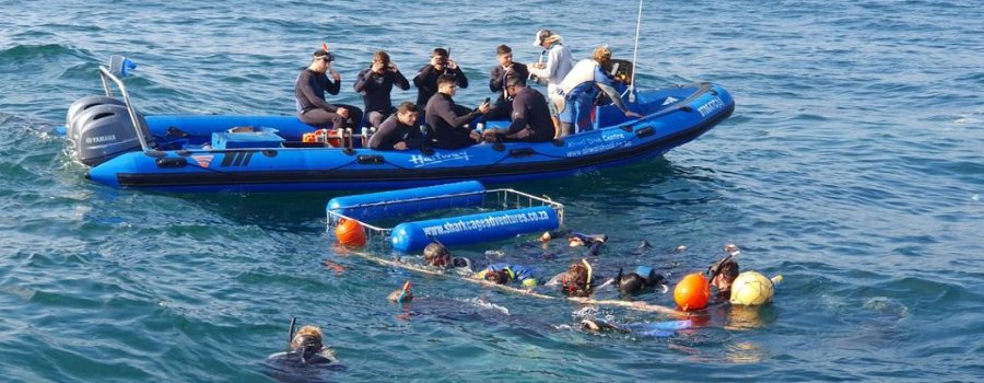 Aliwal Dive Centre - KZN Business Services & Shopping Directory ...