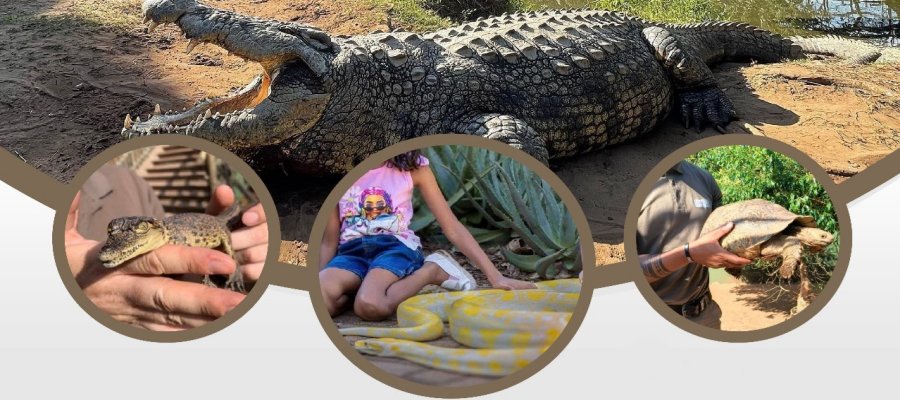 Crocworld Conservation Centre Scottburgh - KZN Business Services ...