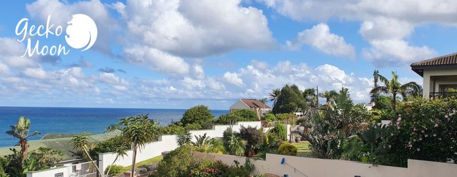 Gecko Moon Guest House Ramsgate - KZN Business Services & Shopping ...